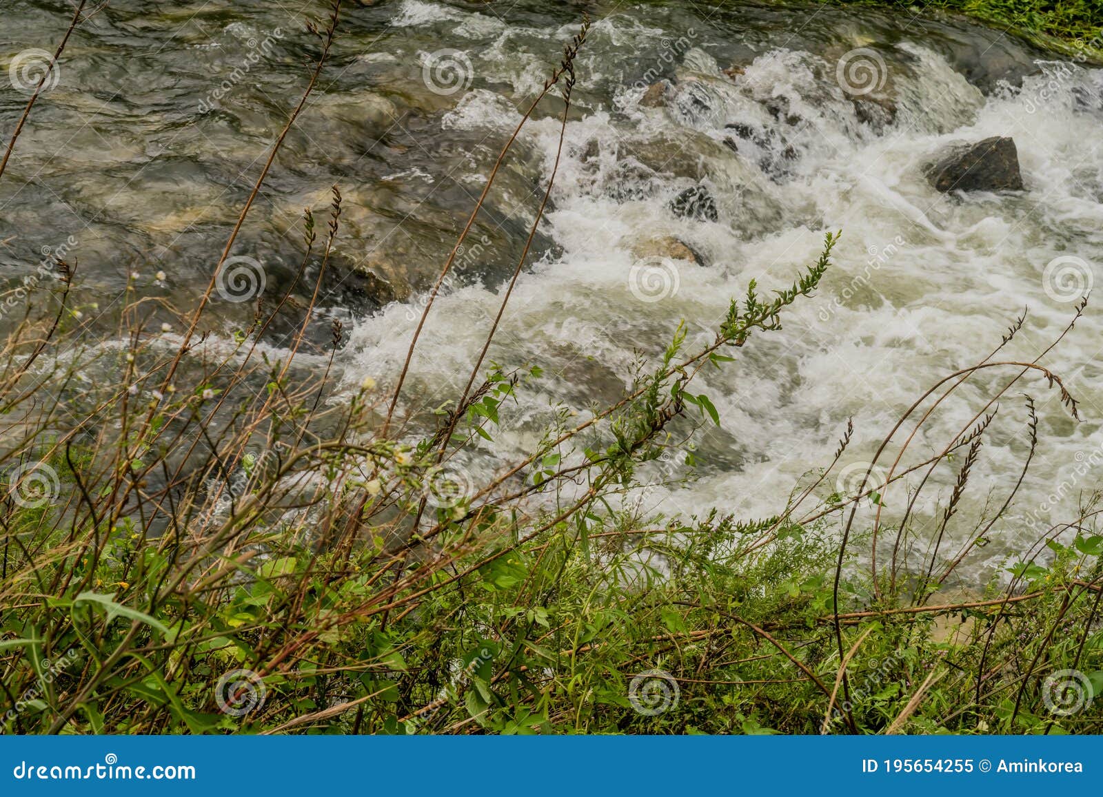 Water in River after Monsoon Rain Flowing Rapidly Stock Image - Image ...