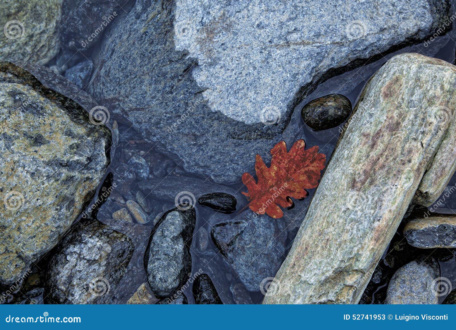Water, River Rocks with Red Leaf Stock Image - Image of river ...