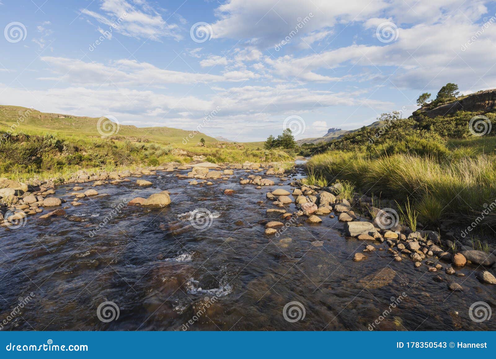 Water in the River Run Over Rocks Stock Image - Image of peaks, grass ...