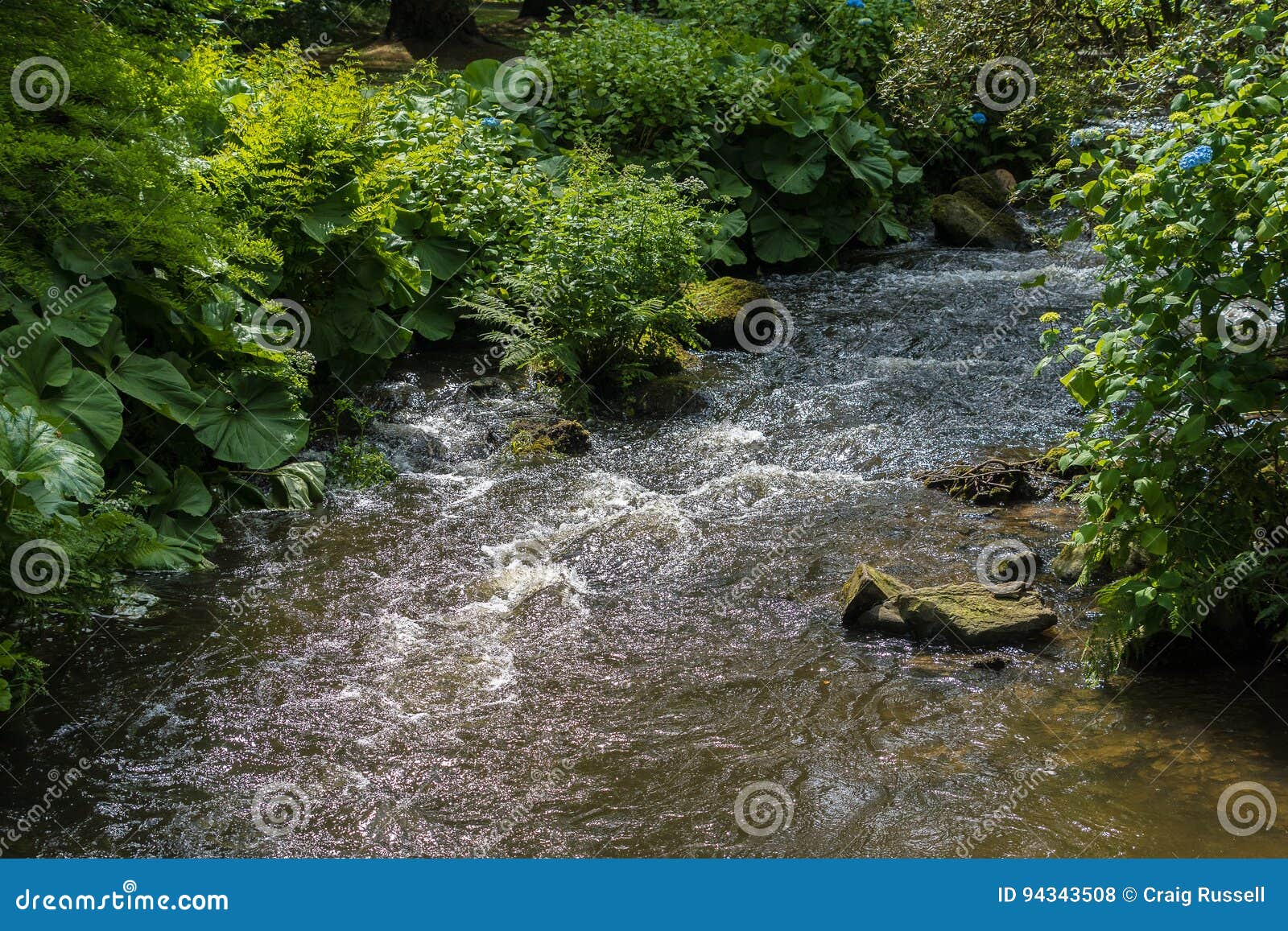 Water in a river stock photo. Image of running, scenic - 94343508