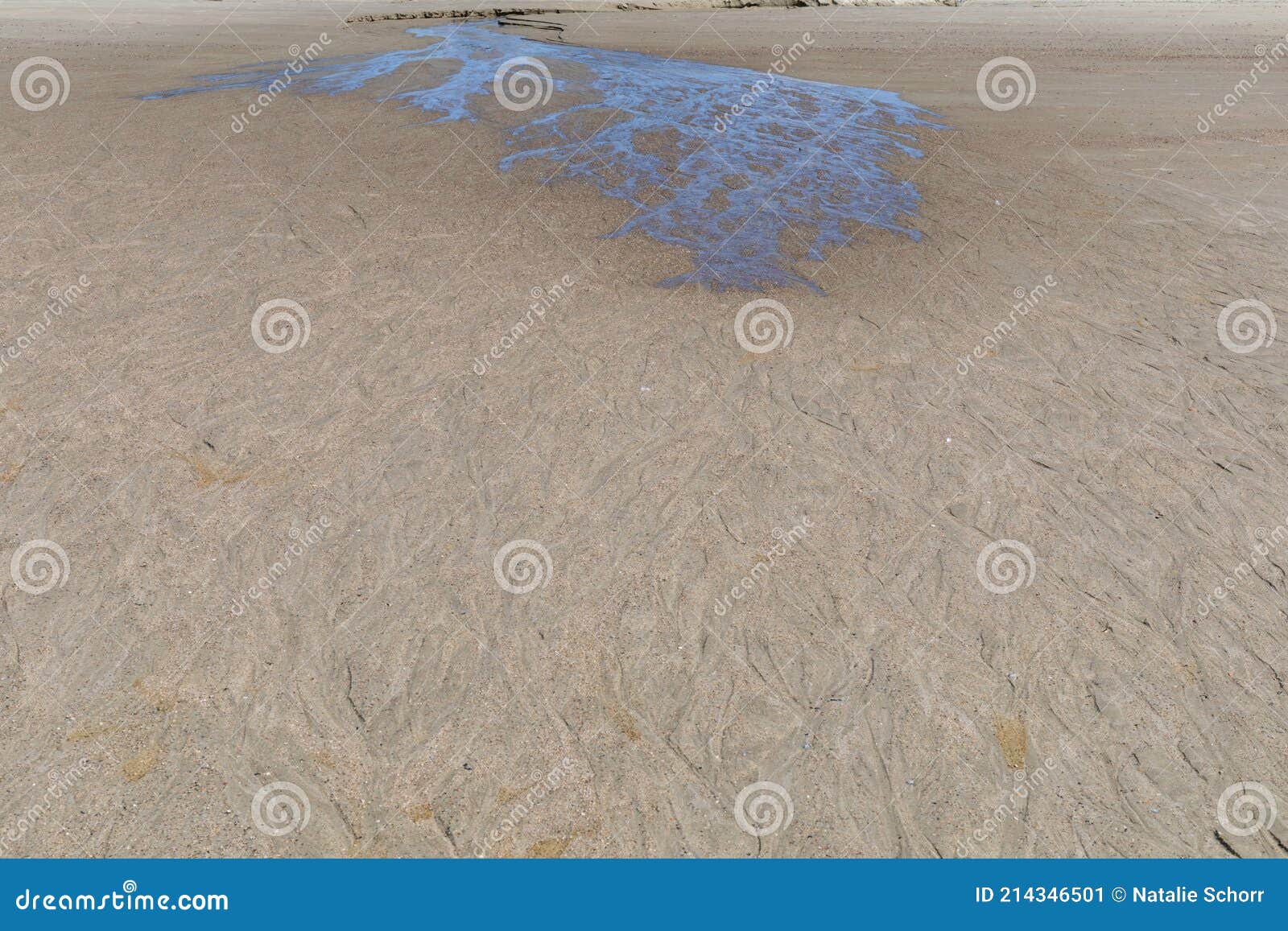 Water Rivulets Making Their Way Across a Sandy Beach Reflecting Blue ...