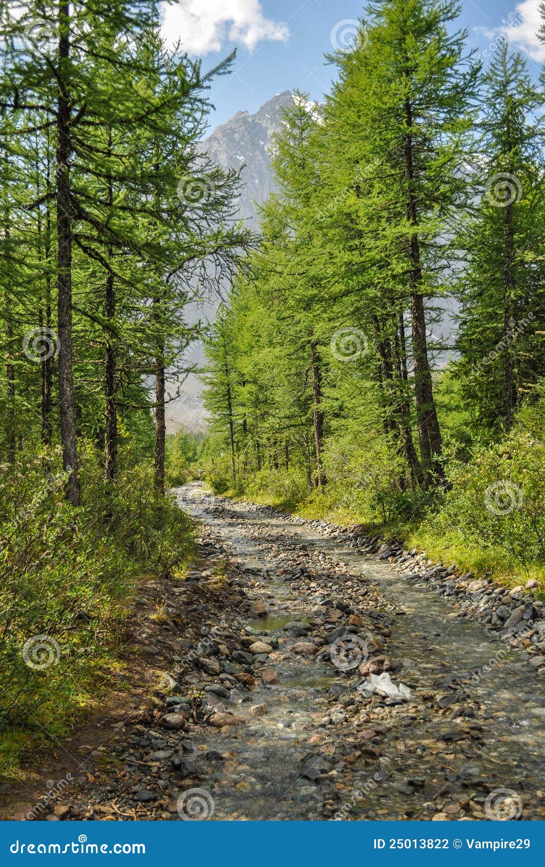 Water road stock photo. Image of stones, mountain, bush - 25013822