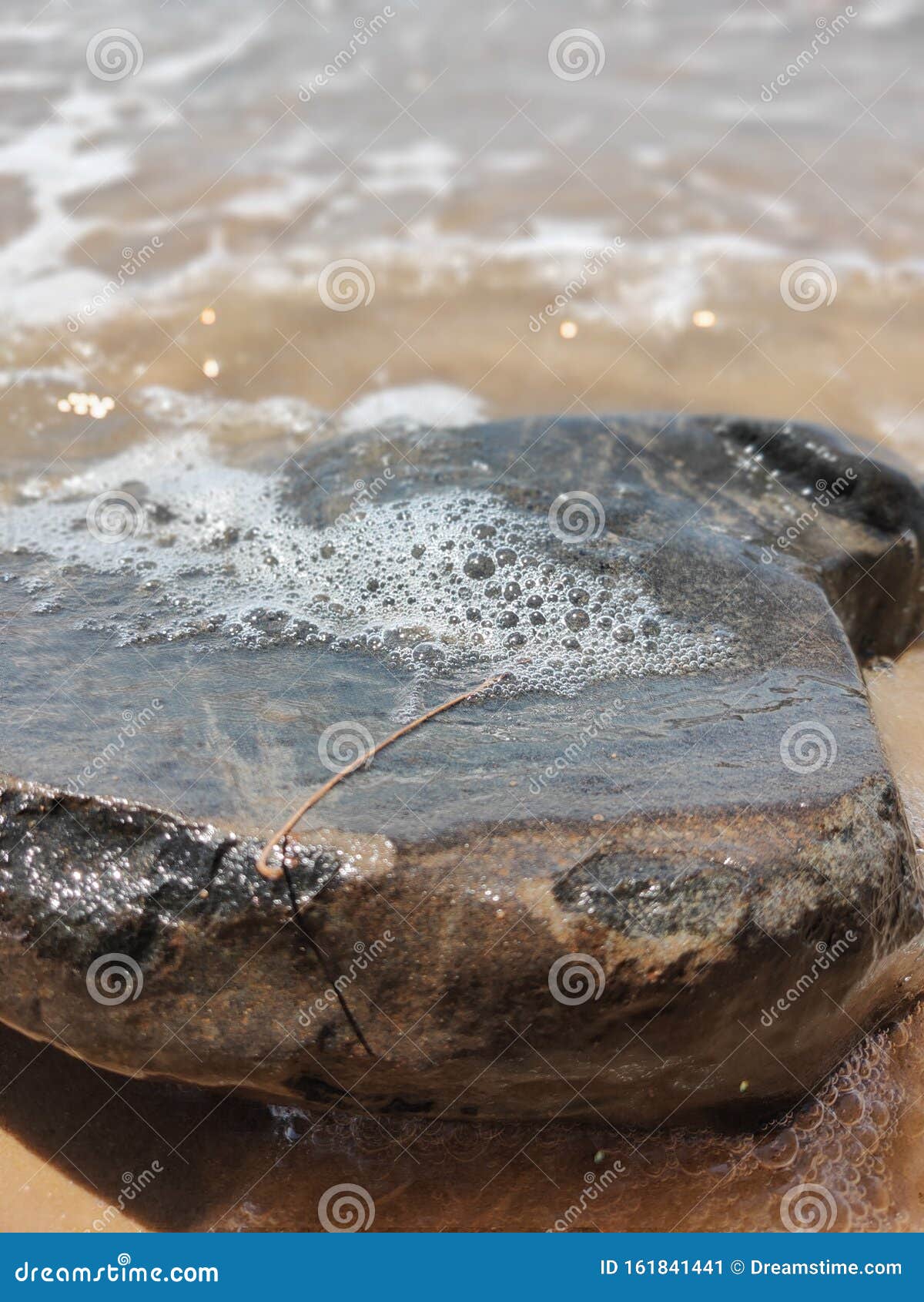 Water on Rock stock image. Image of calm, rock, water - 161841441