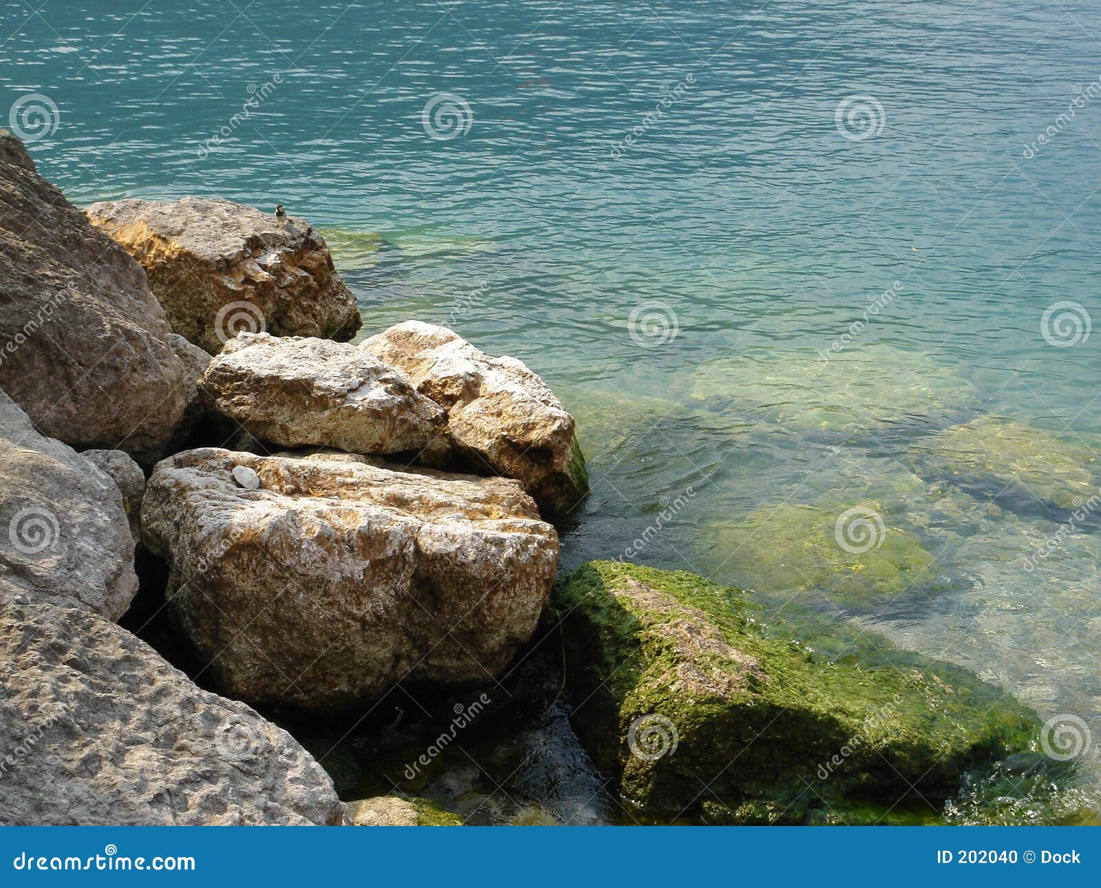 Water On The Rock's Picture. Image: 202040