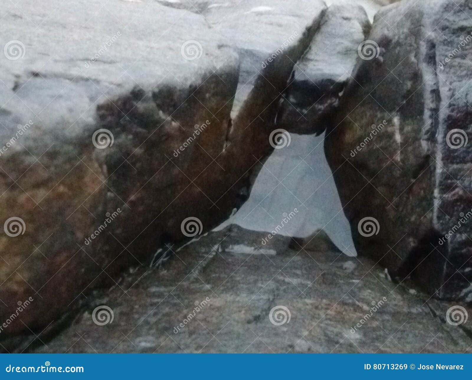 Water on rock. stock image. Image of rock, nature, stuck - 80713269