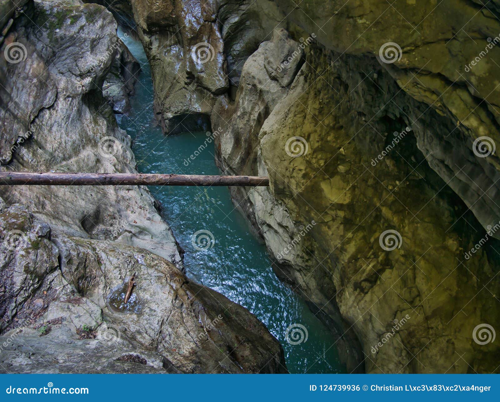 Tree Trunk Trapped by Water in the Gorge Stock Photo - Image of ...