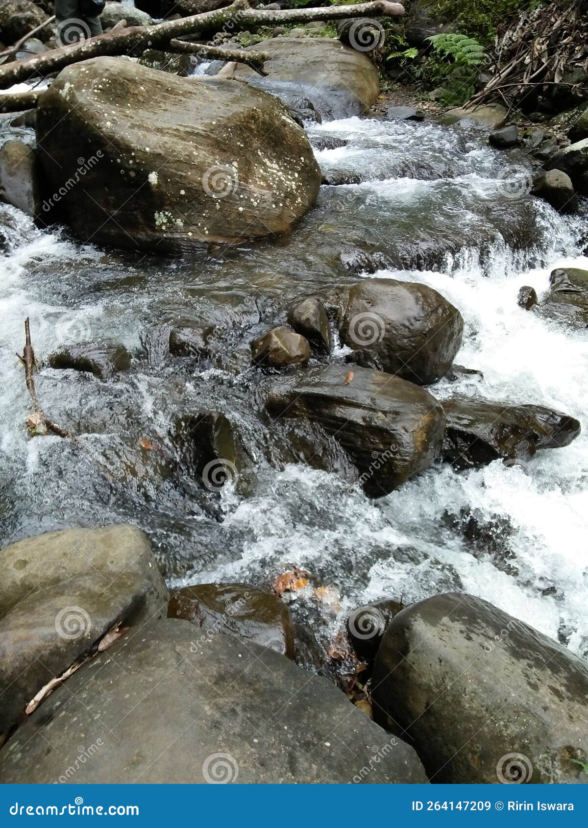 Water and Rocks in the River Stock Image - Image of water, stream ...