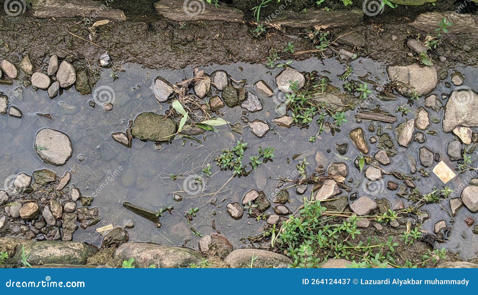 Water, Rocks, Soil, Plants, Background Stock Image - Image of ...