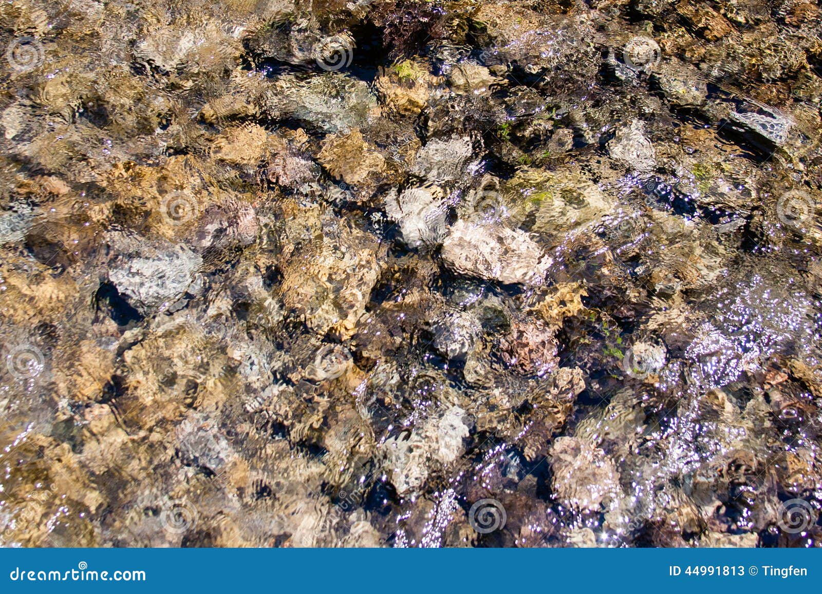 Water Rocks Texture stock image. Image of rocks, shiny - 44991813