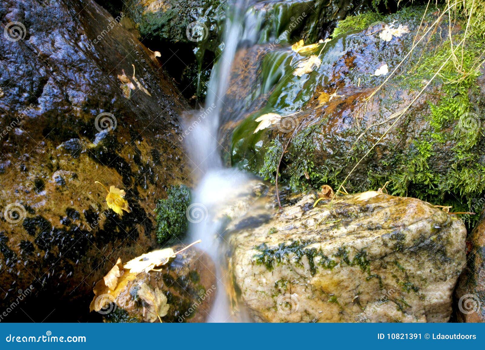 Water Running Down Mossy Rocks Stock Image - Image of leaves, moss ...
