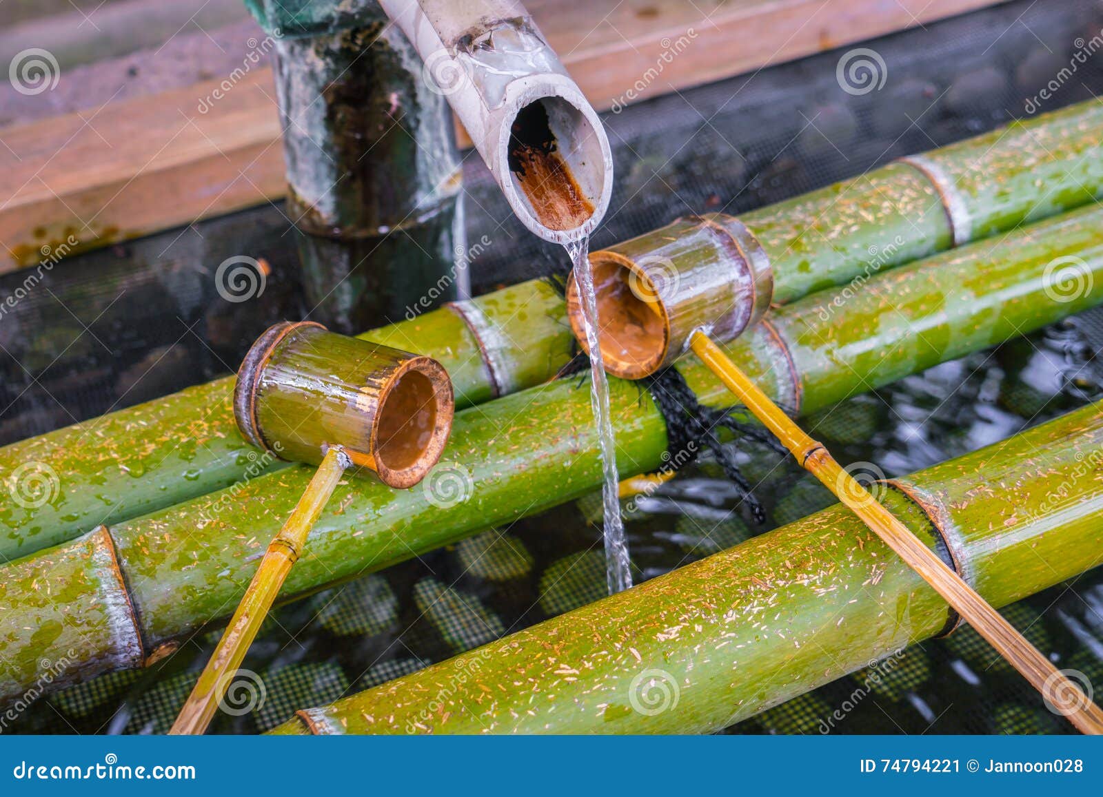 Water Running Out through Bamboo Pipe . Stock Image - Image of pouring ...