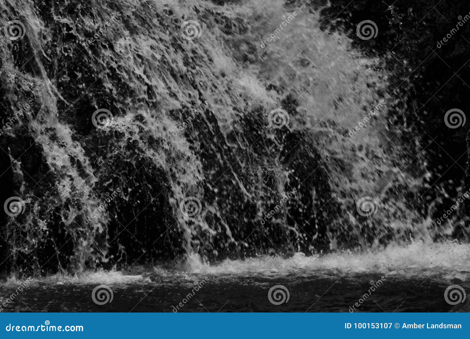 Water Rush stock image. Image of black, botanical, water - 100153107