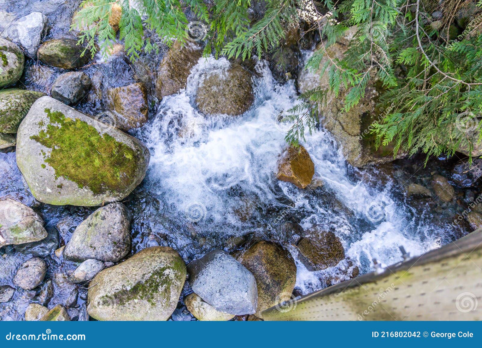 Creek Rocks and Whitewater stock photo. Image of fresh - 216802042