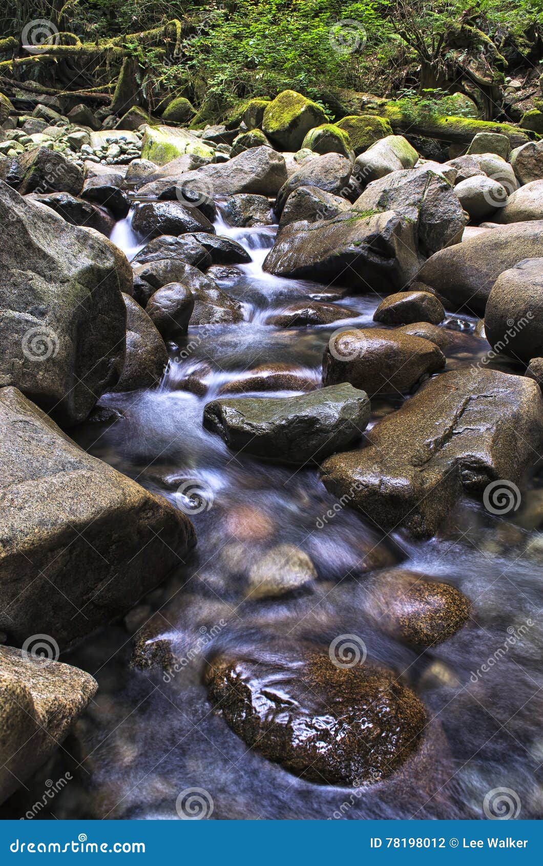 Water Rushing Down Over Rocks Stock Photo - Image of flowing, outdoor ...