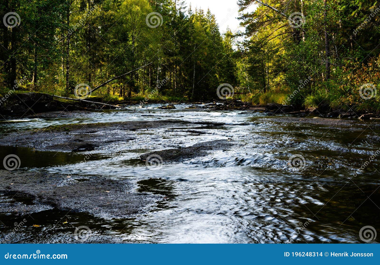 Water Rushing through a Stream Stock Photo - Image of outdoor ...