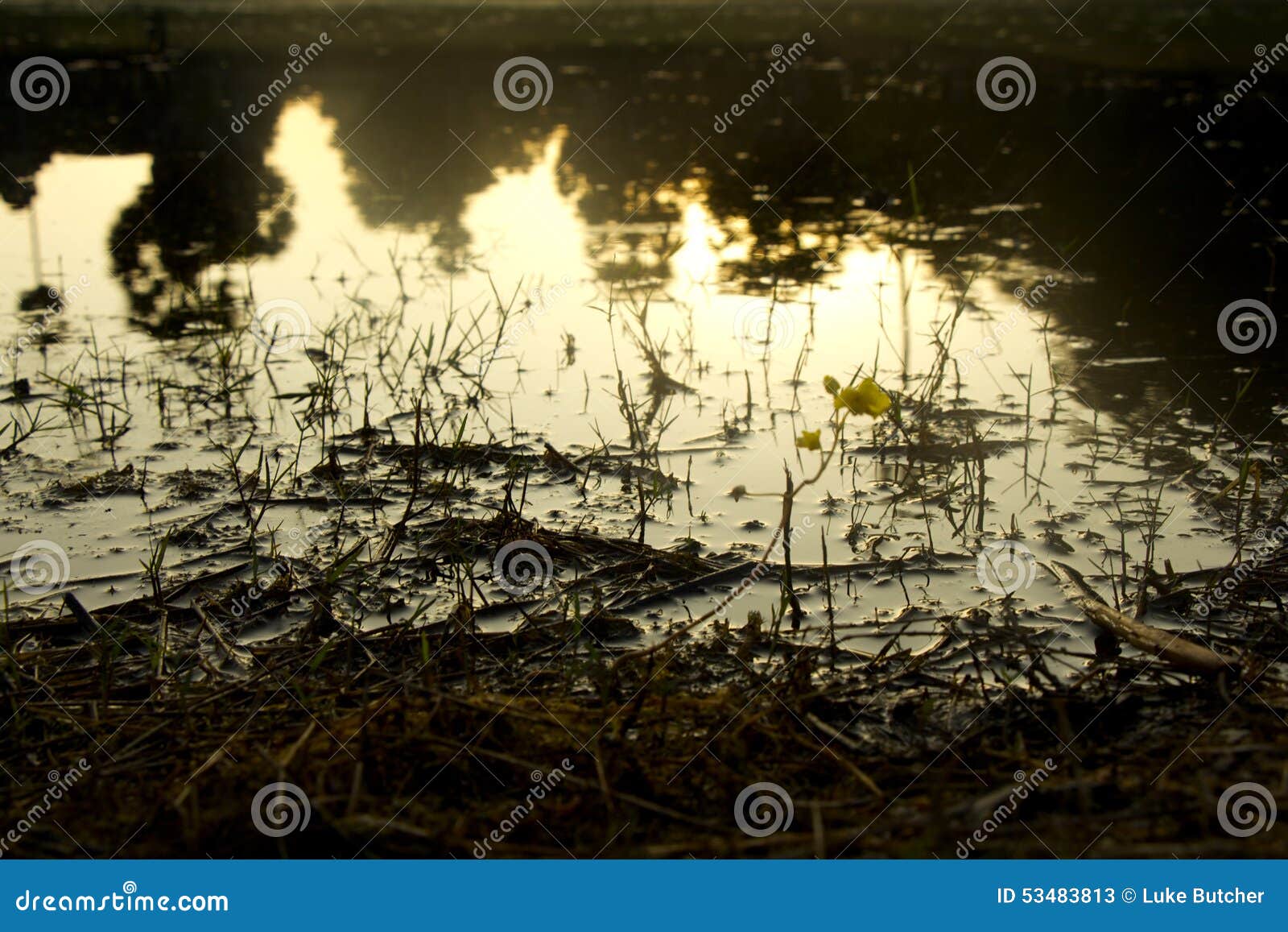 Water s Edge stock image. Image of water, edge, black - 53483813