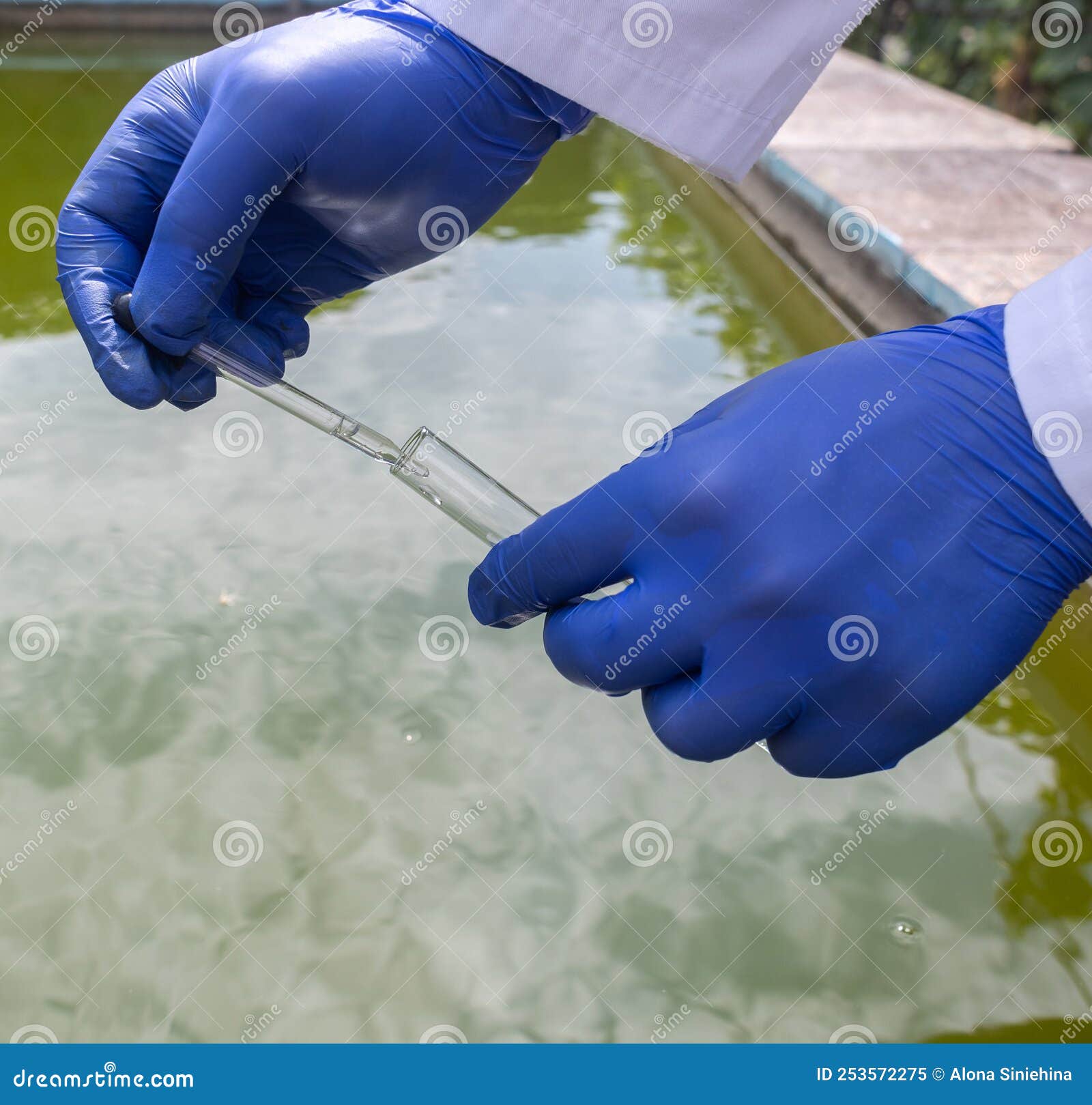 Pool Water Microbiological Stock Photos - Free & Royalty-Free Stock ...