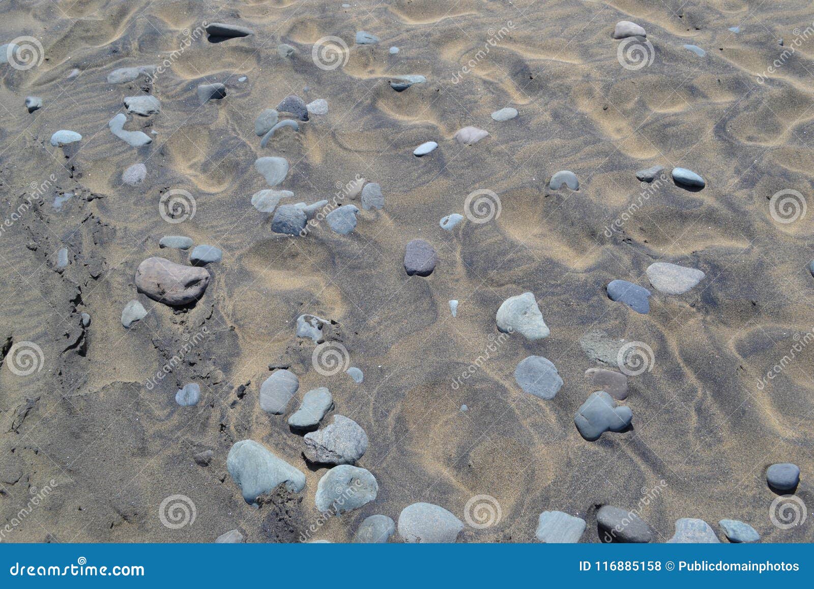 Water, Sand, Geology, Mudflat Picture. Image: 116885158