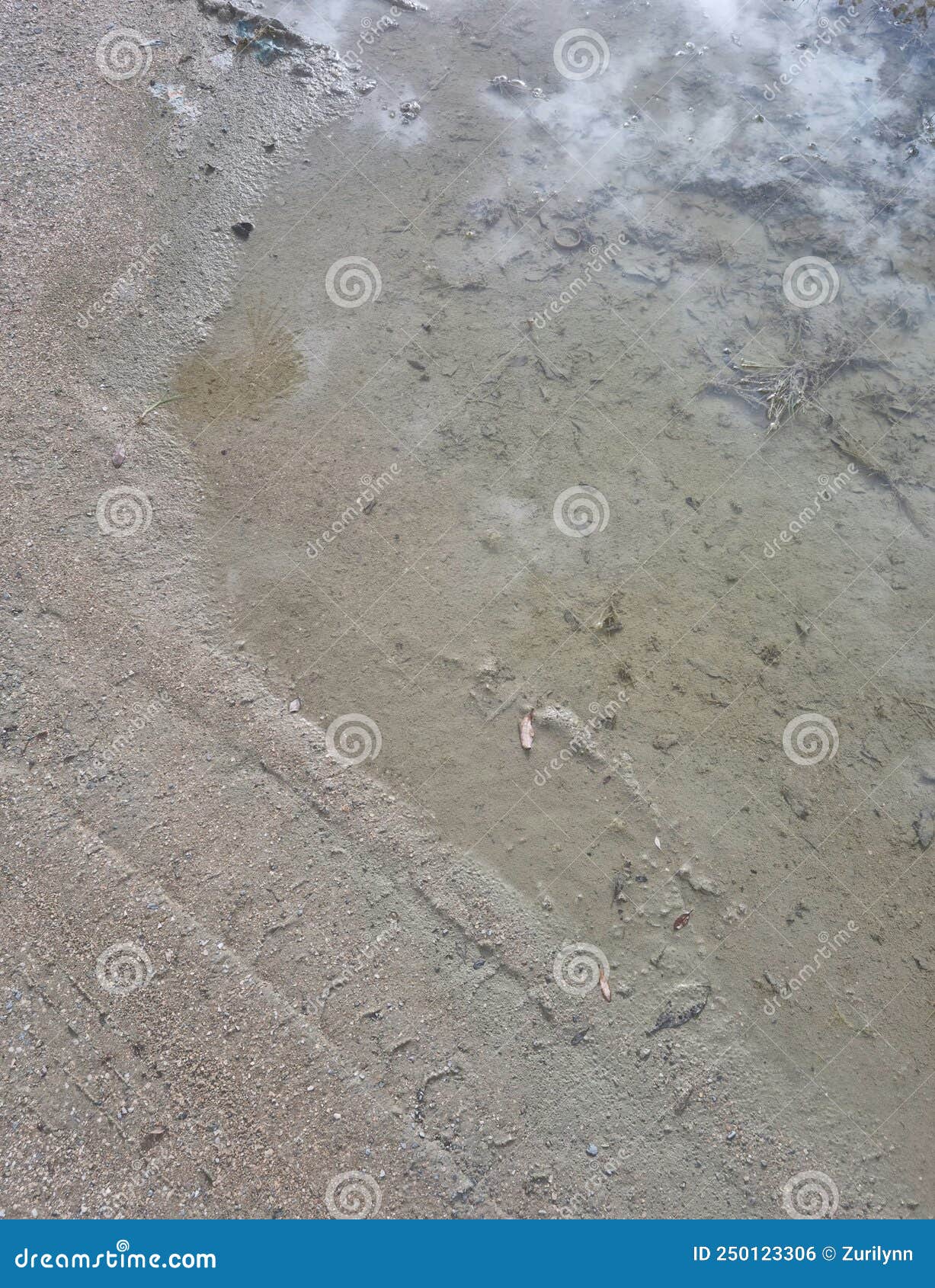 A water sand pool stock photo. Image of sand, pool, water - 250123306