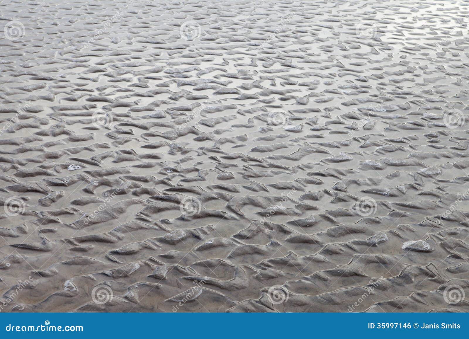 Water on sand. stock photo. Image of clean, liquid, seaside - 35997146
