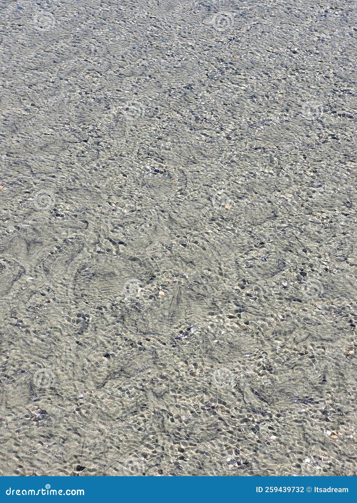 Water on sand texture stock photo. Image of texture - 259439732