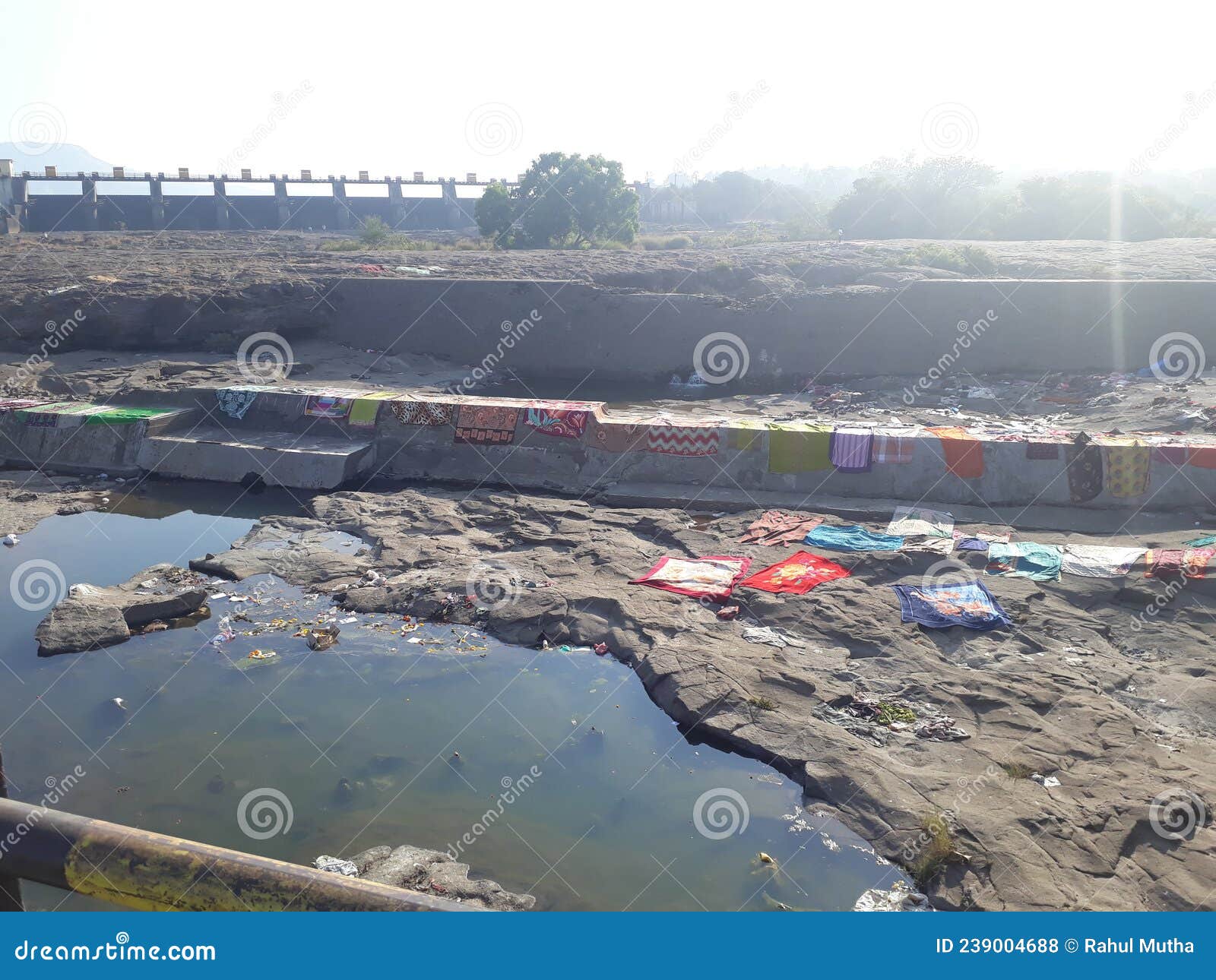 Water Scarcity and Drought in India Stock Photo - Image of forest ...