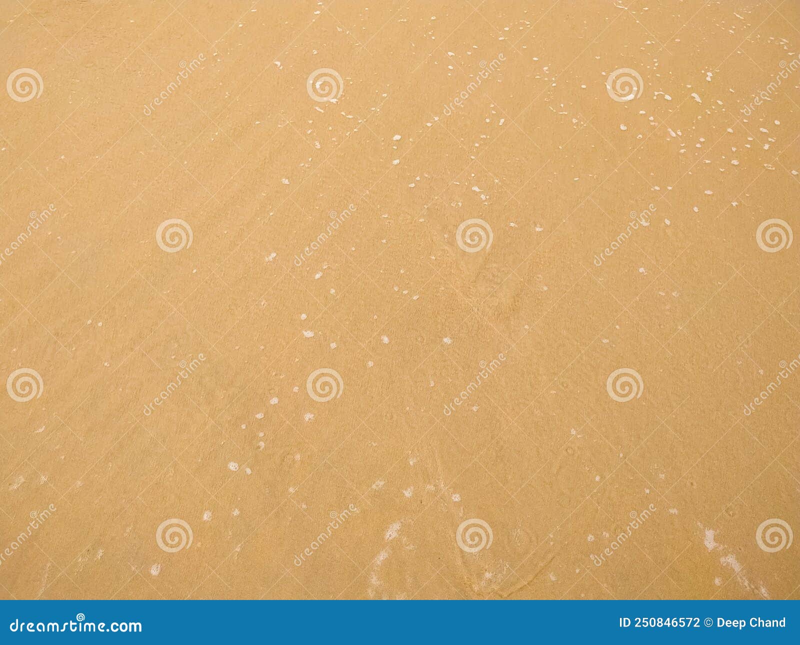 Water on the seaside sand stock photo. Image of closeup - 250846572