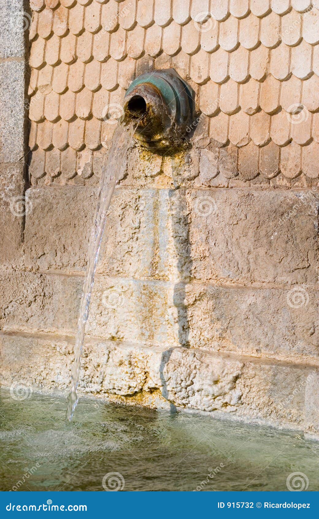Water sewer stock photo. Image of purity, pool, water, seaweed - 915732
