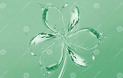 Water Shamrock stock photo. Image of petal, christianity - 8372330