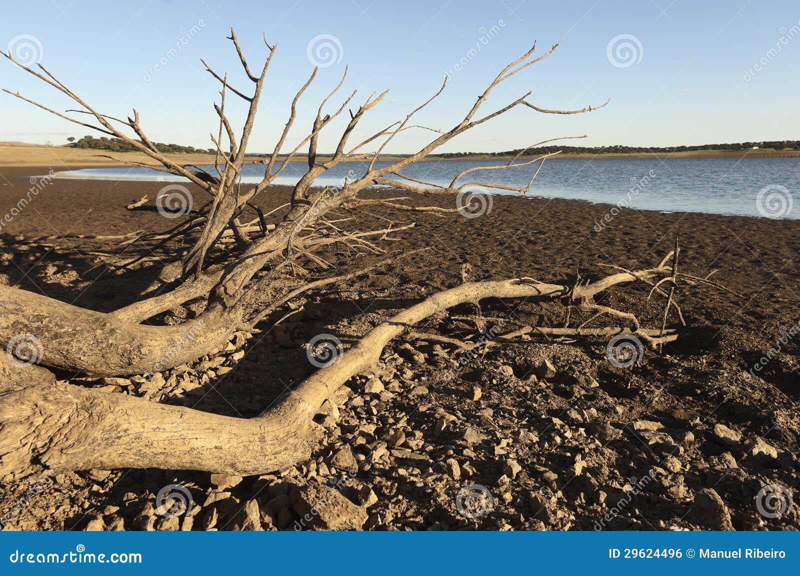 Water shortage stock photo. Image of land, barren, dirt - 29624496