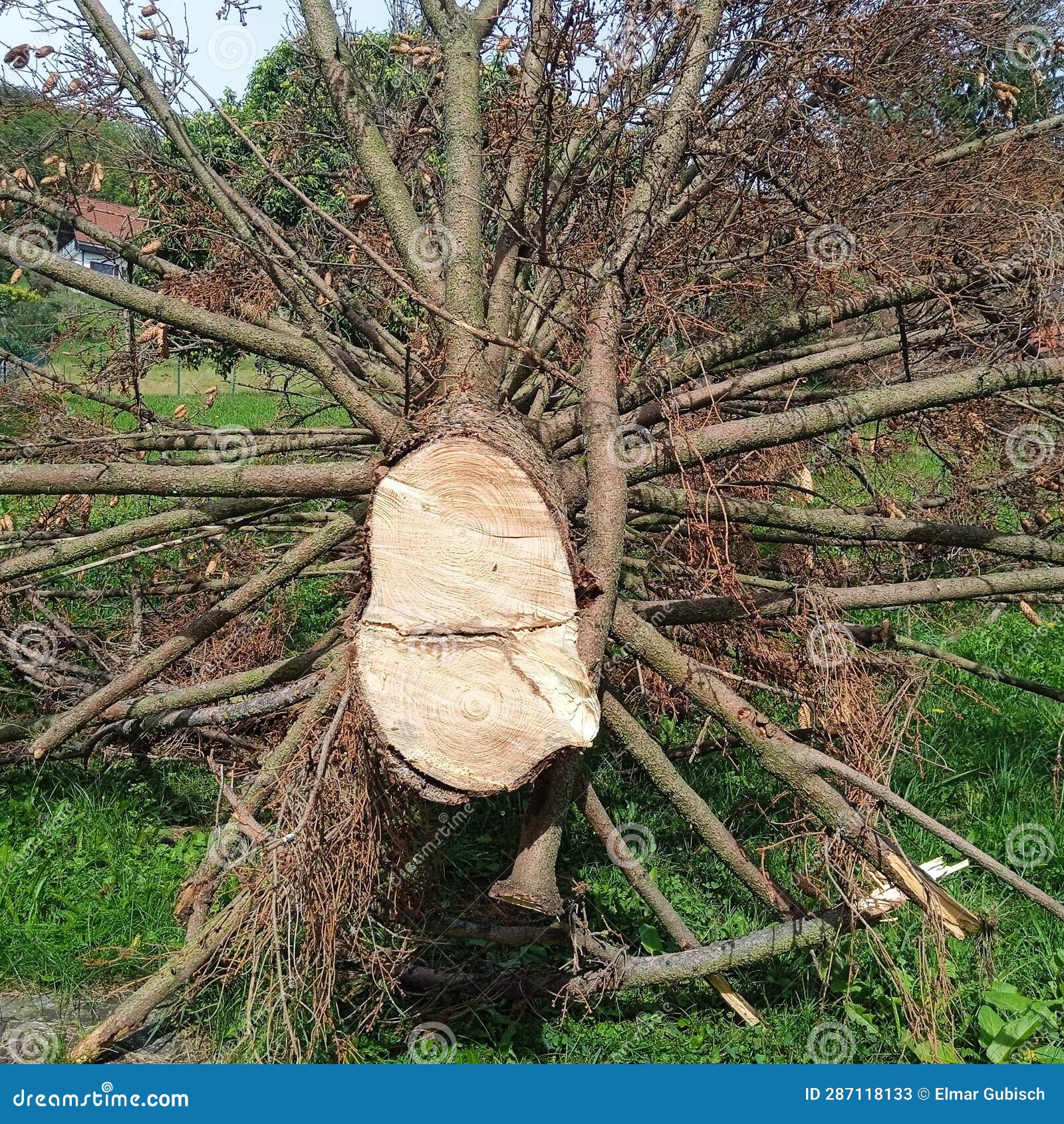 Water Shortage in this Time Stock Image - Image of time, drought: 287118133