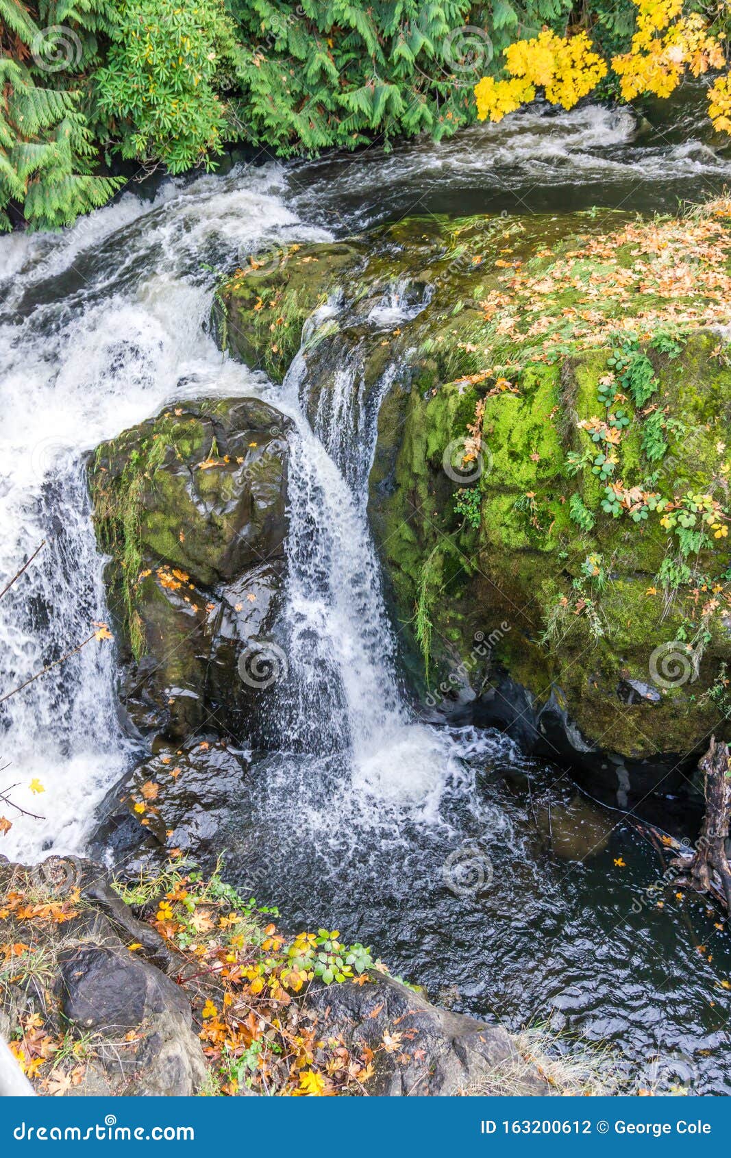 Tumwater Falls Park Sideways 2 Stock Photo - Image of nature, park ...