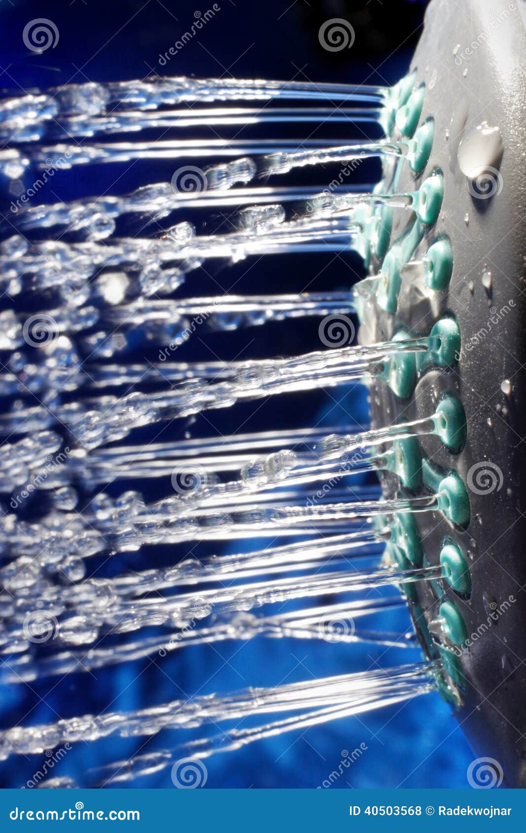 Water from shower head stock photo. Image of showerhead - 40503568