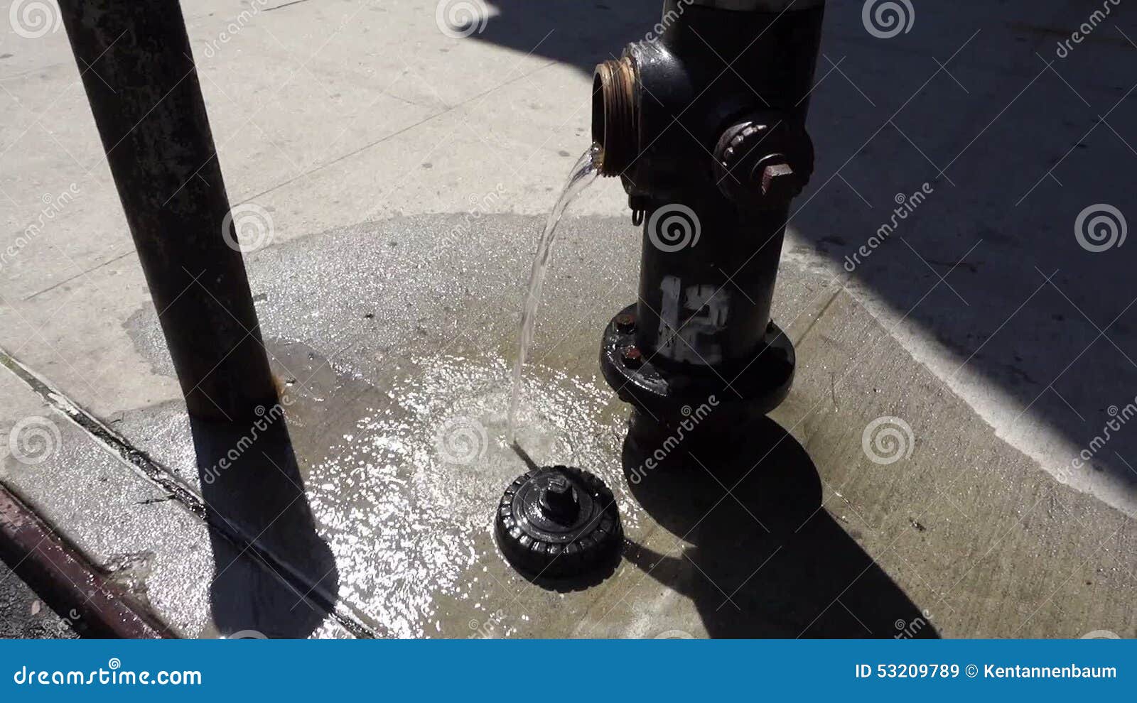Water from Sidewalk Fire Hydrant Stock Video - Video of fire, cement ...