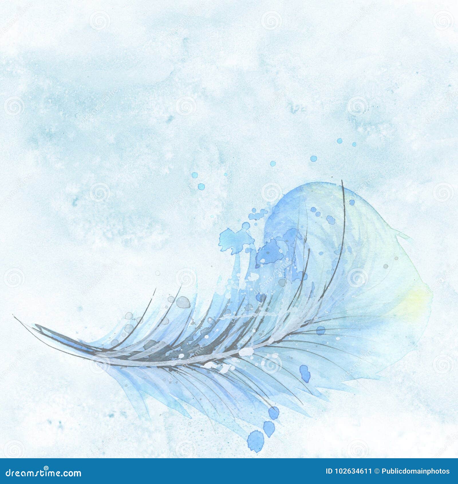 Water, Sky, Feather, Wave Picture. Image: 102634611