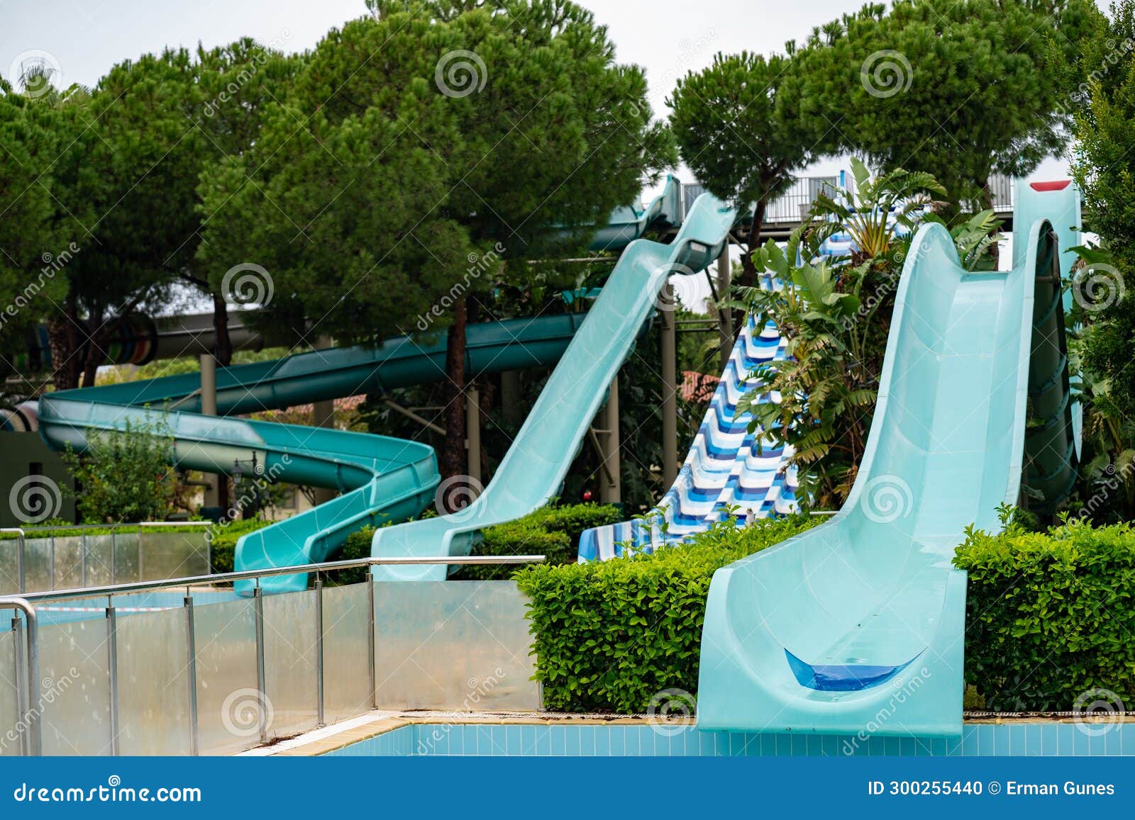 Water Slides between the Trees Stock Photo - Image of full ...