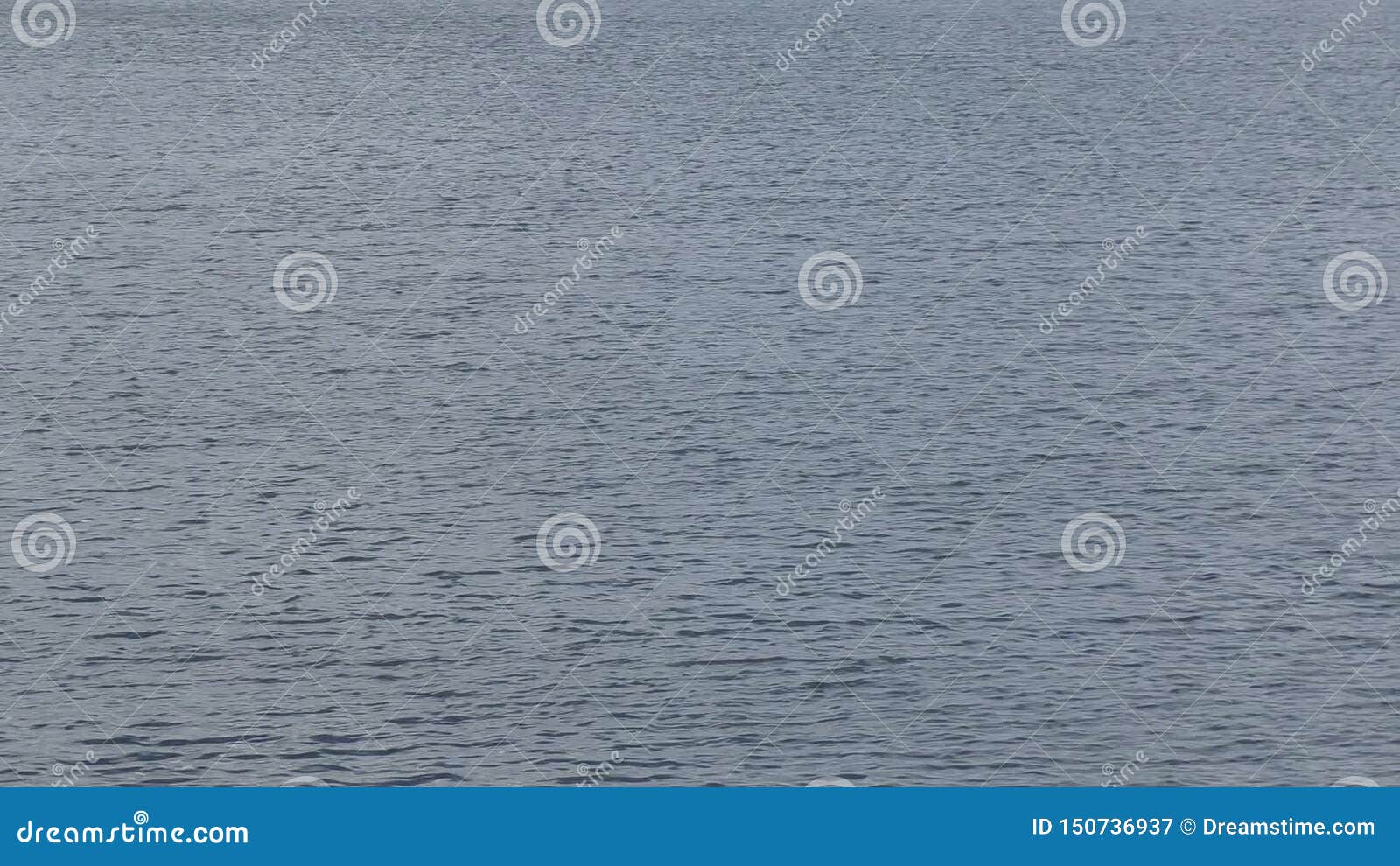 Water with small waves. stock video. Video of waves - 150736937