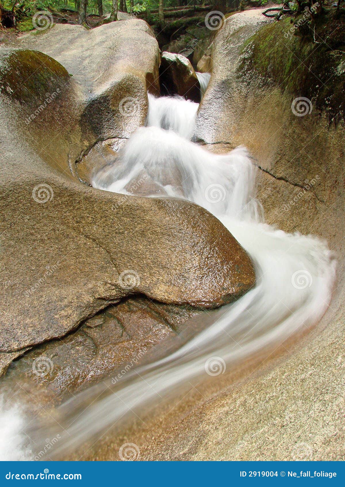 Water on Smooth Rocks stock photo. Image of forest, pool - 2919004