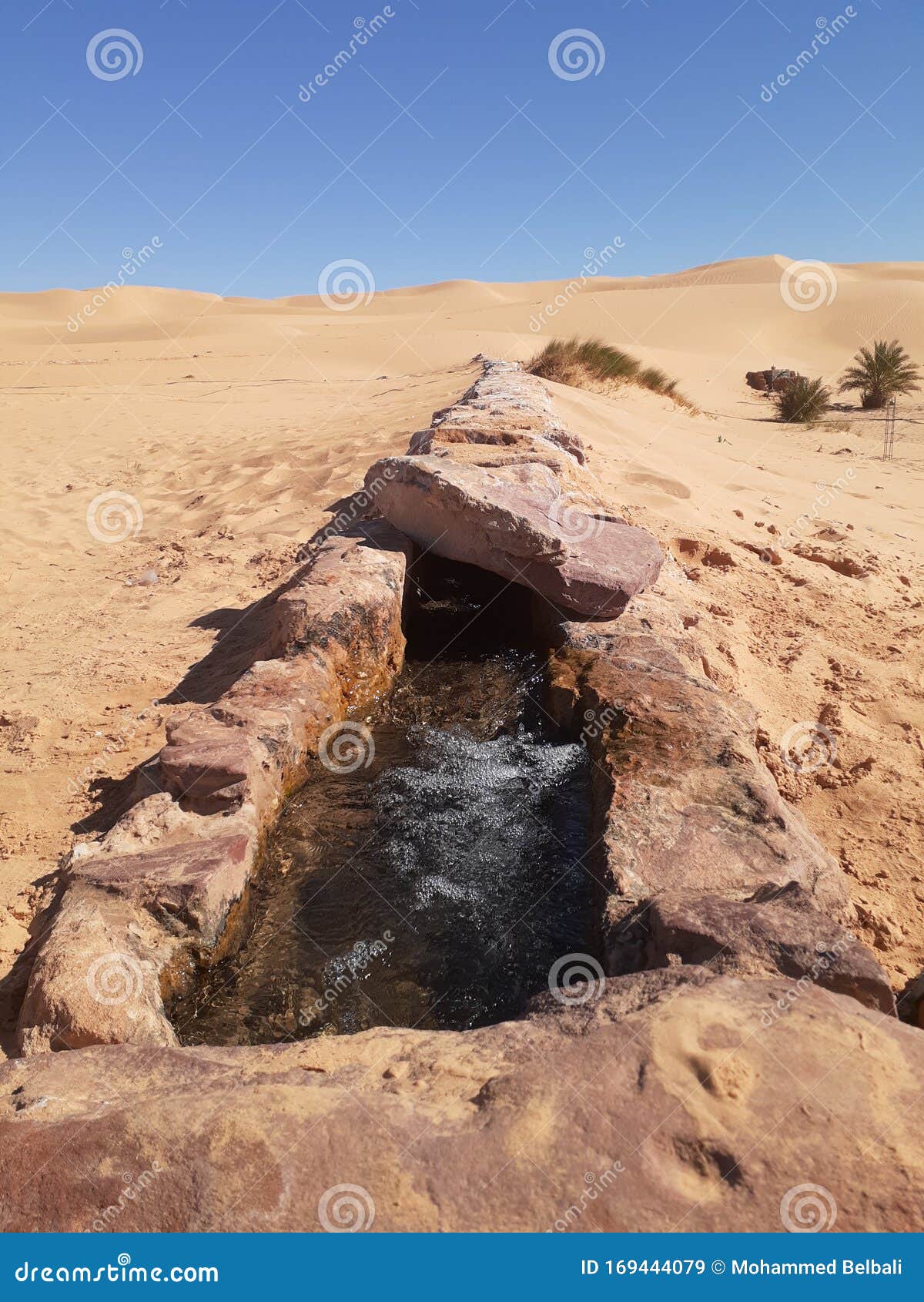 Water Source in Algerian Desert Stock Image - Image of region, algerian ...