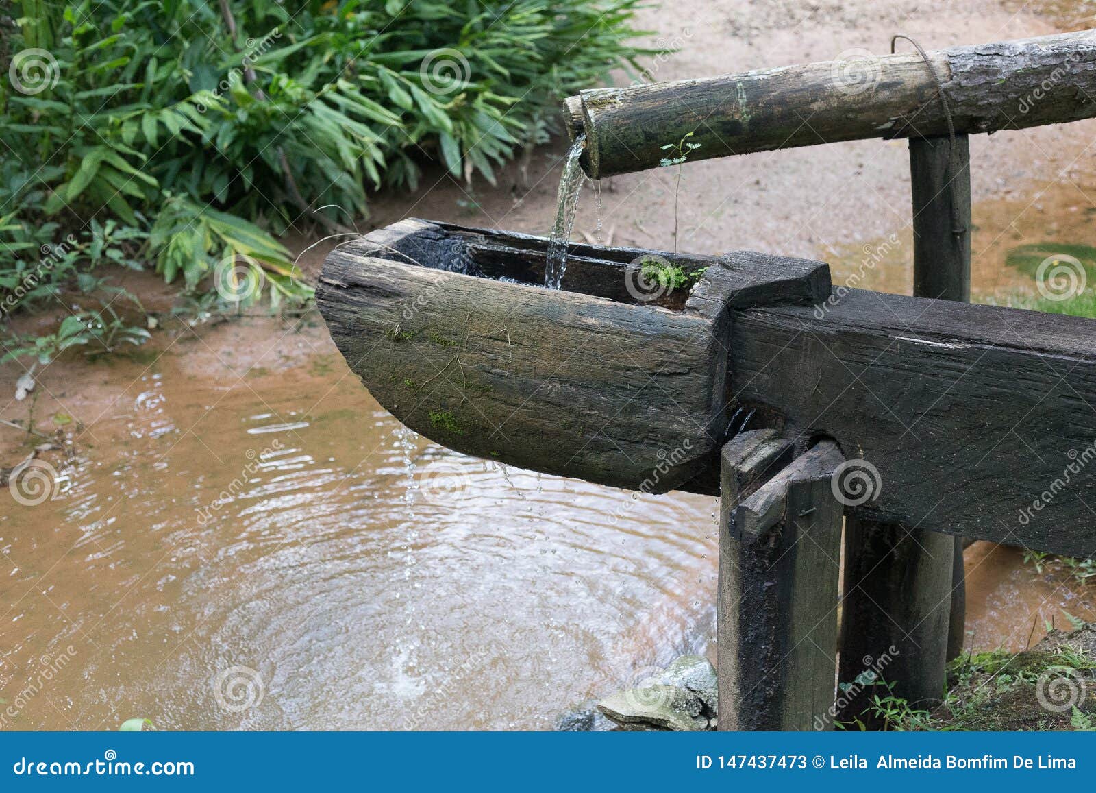 A water source in a lake. stock image. Image of refres - 147437473