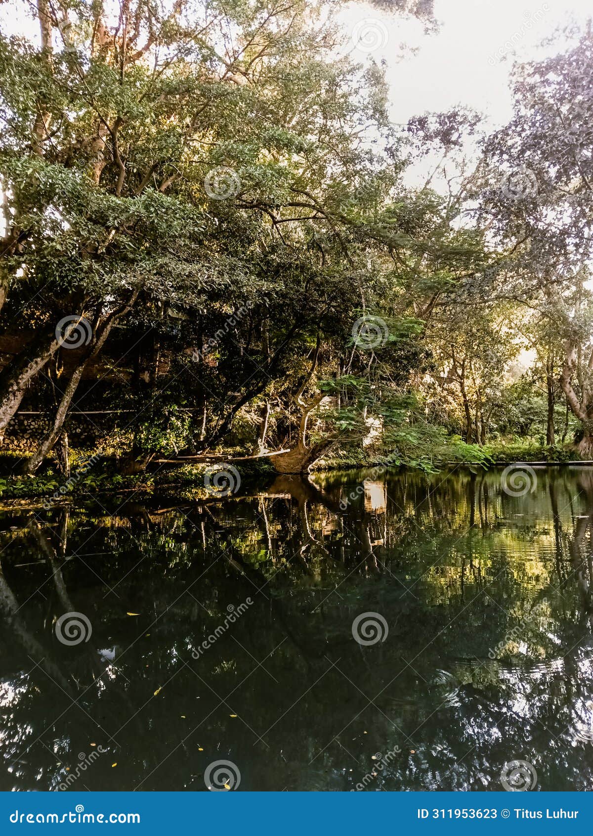 Water is the Source of Life. and Leaf is Green. Stock Image - Image of ...