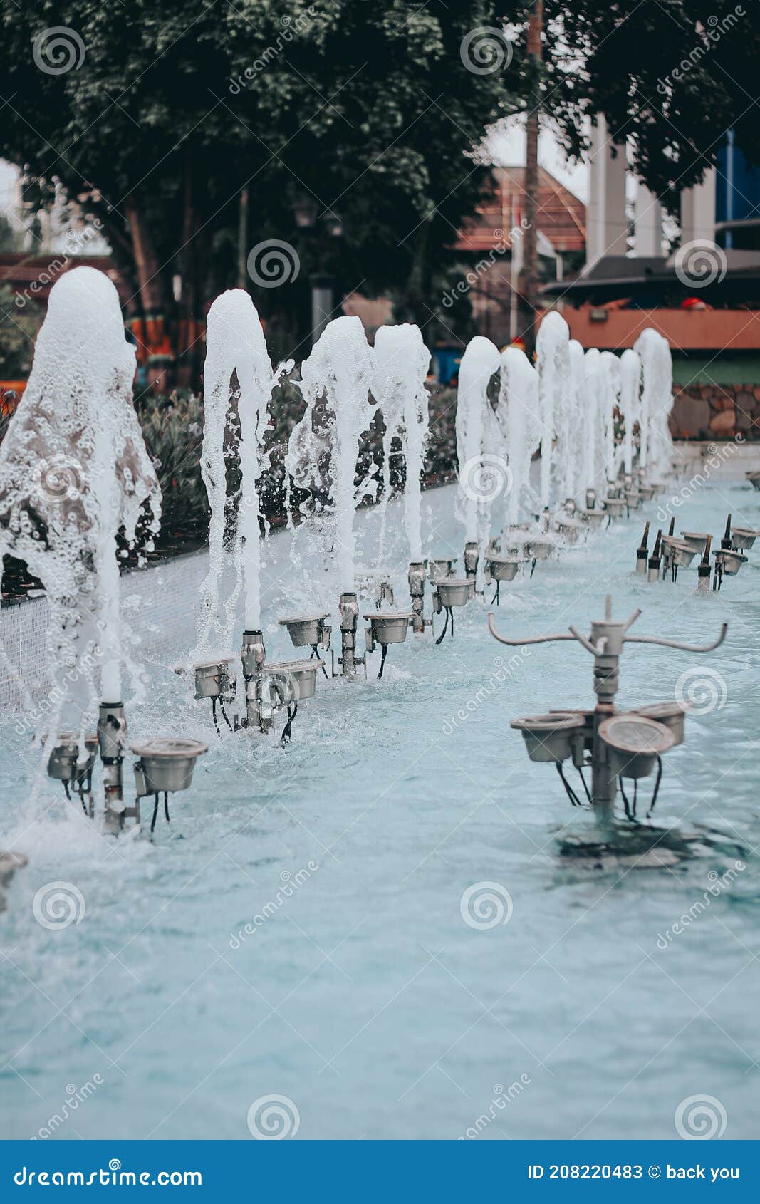 Water the Source of Life for Living Things Stock Image - Image of ...