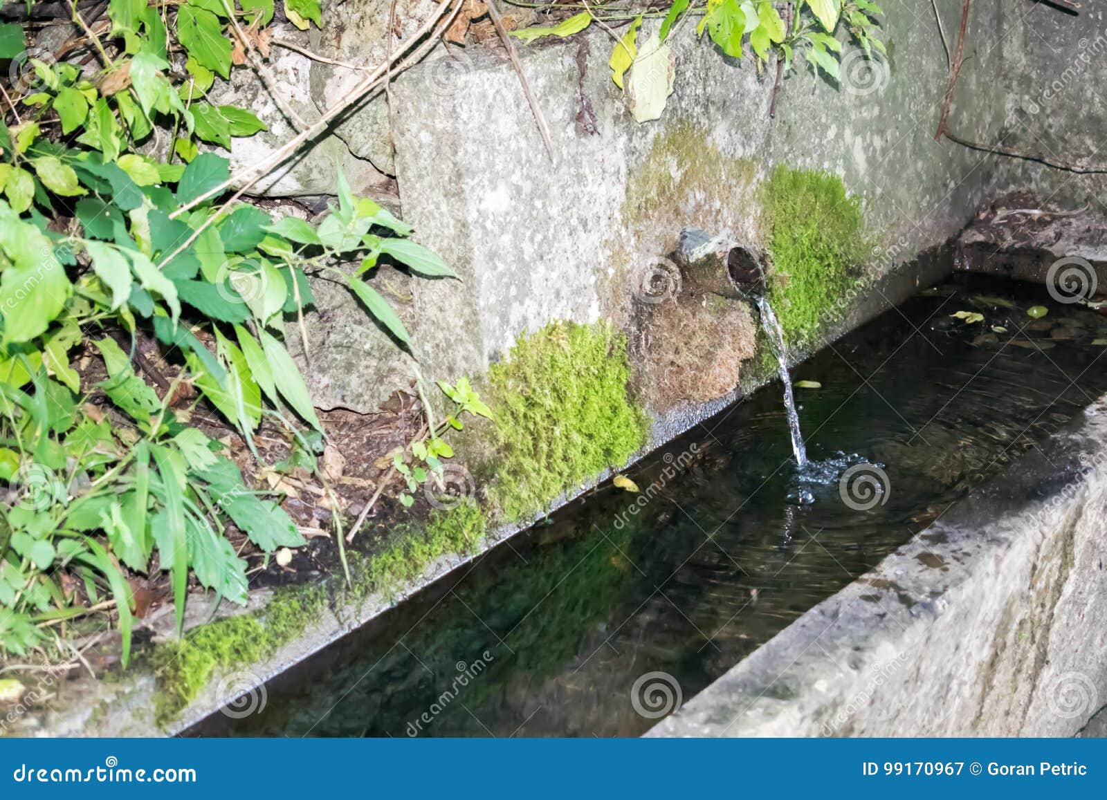 Water Source in the Mountain Stock Image - Image of mountain, source ...