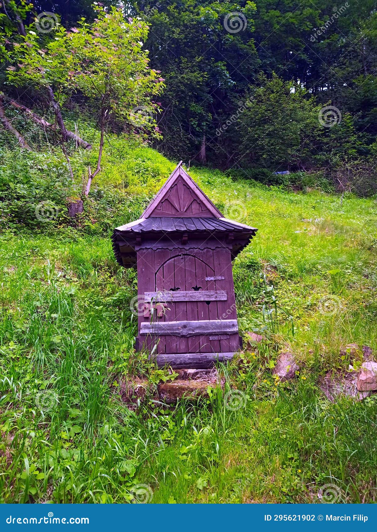 Water Source in the Mountains Stock Photo - Image of mountains, leaf ...