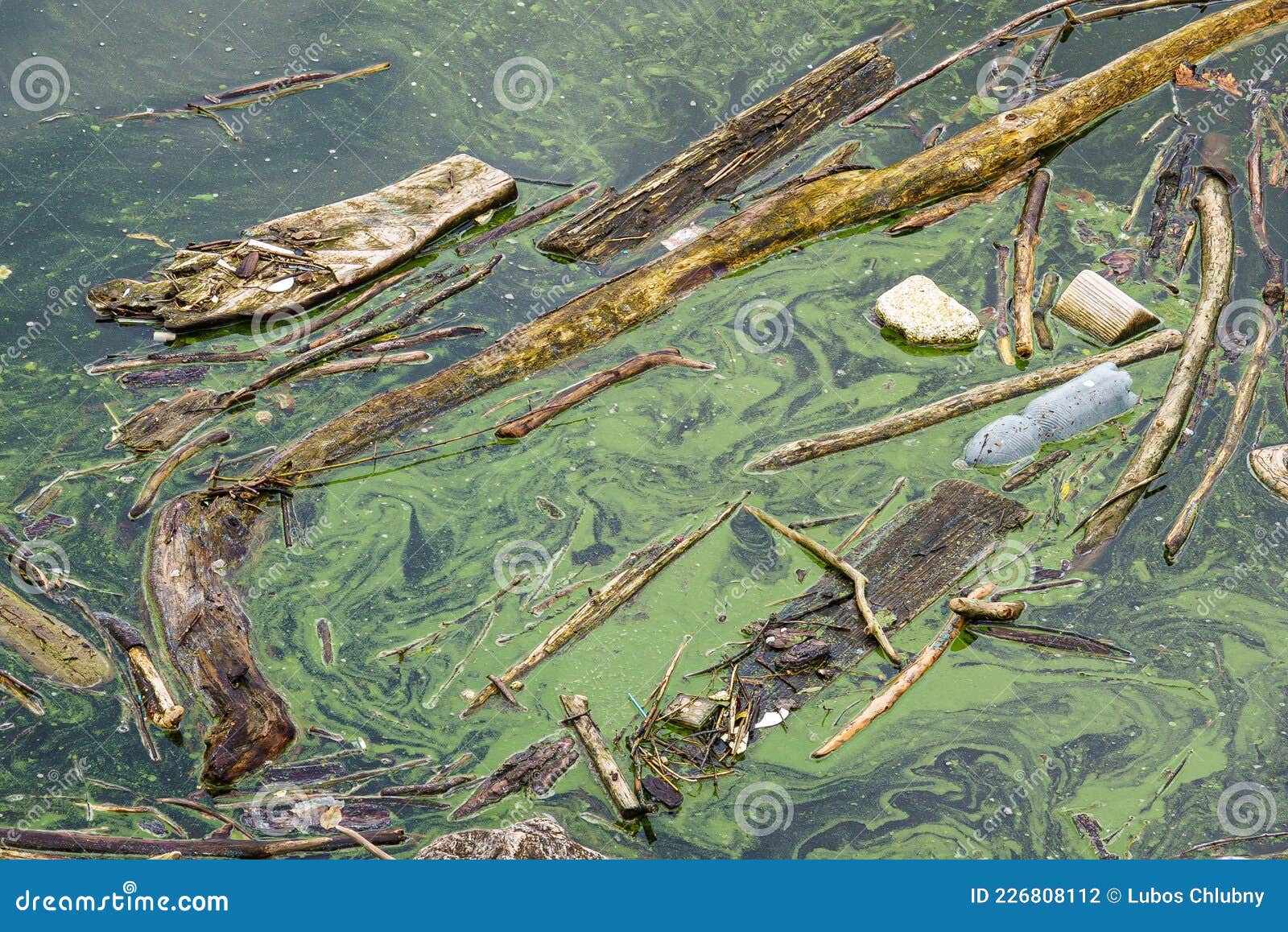 Water Source that is Polluted with Various Garbage. Environment ...