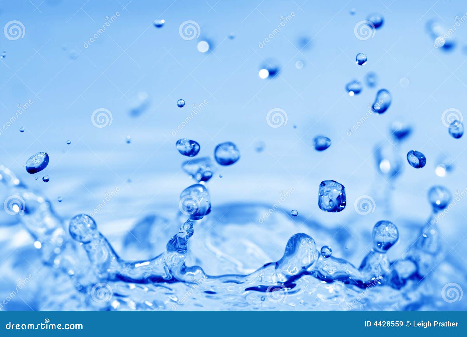 Water spalsh stock image. Image of liquid, falling, drink - 4428559