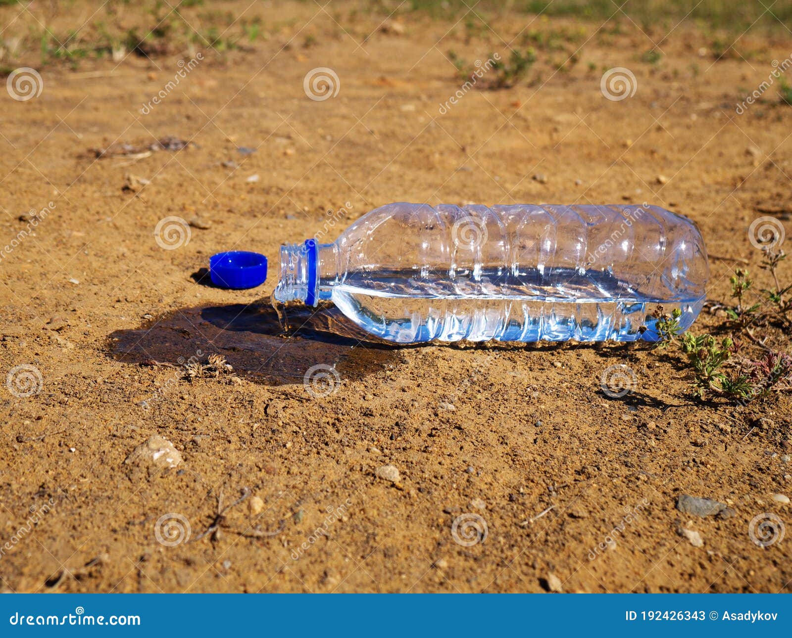 Water Spilling from Plastic Bottle on a Droughty Place Stock Image ...