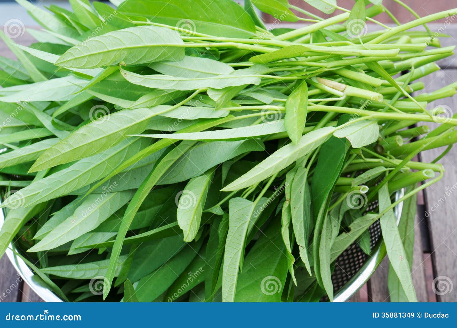 Water spinach stock image. Image of tropical, asian, salad - 35881349