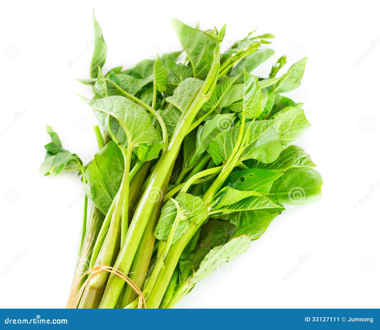 Water spinach stock image. Image of choy, cooking, aquatica - 33127111
