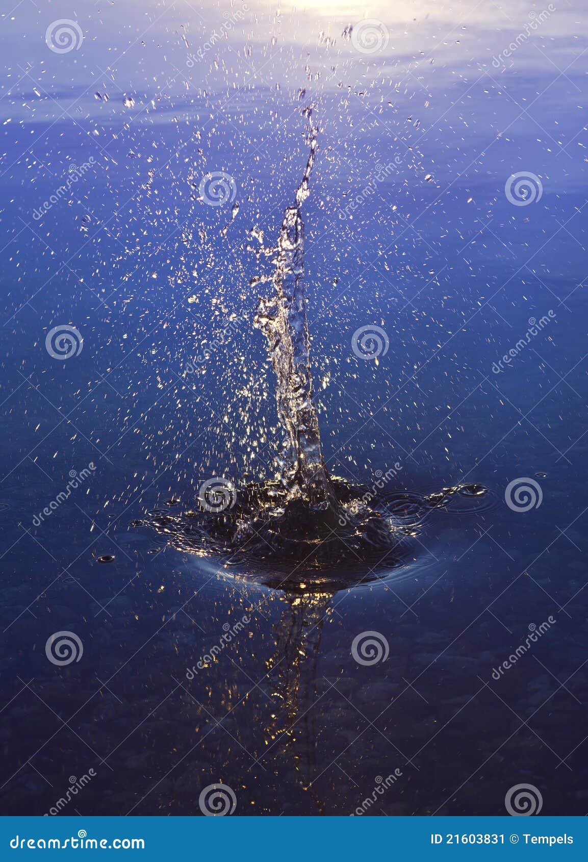Water splash stock image. Image of lake, sploosh, ripple - 21603831